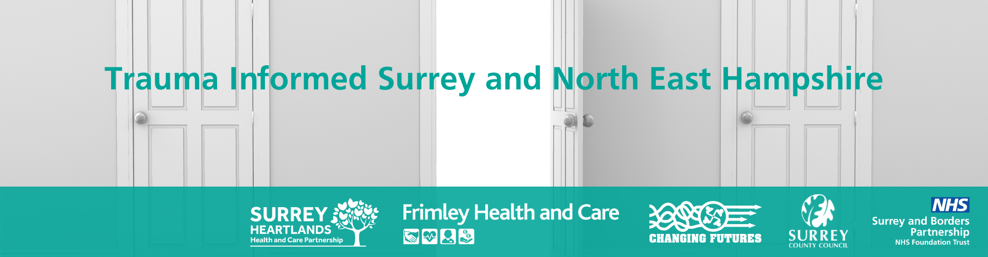 Trauma Informed Surrey and North East Hampshire